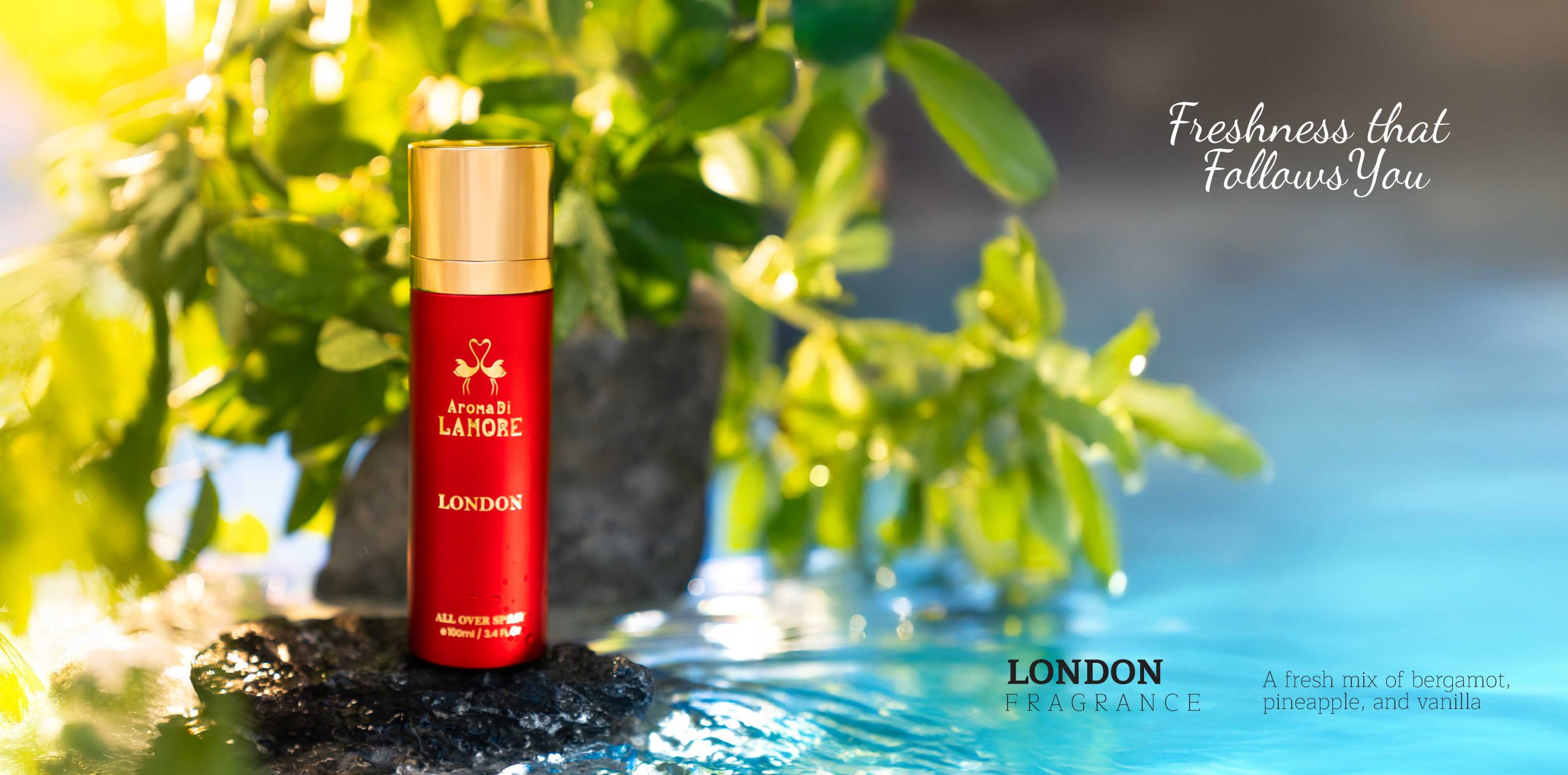 Home - Aroma Di Lamore